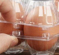 China Clear 30 Cell Disposable Plastic Egg Container With Lid For Shockproof Egg Storage Transport for sale