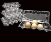 China Transparent PVC 10 Holes Egg Packaging Tray Premium Eggs Durable Packaging Box for sale