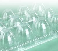 China 12 Egg PET Eco Friendly Egg Packaging Tray With Transparent Display Blister Pack for sale