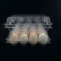 China 12 Slot Transparent PET Egg Tray With Multi Buckle For Secure Egg Storage Transport for sale