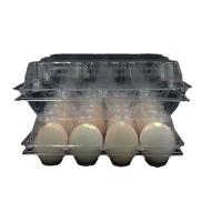 China 12 Slot Transparent PET Egg Tray With Multi Buckle For Secure Egg Storage Transport for sale