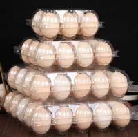 China 9 Slot Transparent Egg Packaging Tray With Custom Logo Printing For Free Range Egg Packaging for sale