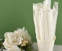 China Custom Large Eco Friendly Straws 190mm Length 6mm Diameter For Thick Beverages for sale