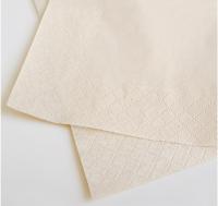 China Custom Logo Bamboo Pulp Napkins 20cm X 20cm Sheet High Absorbency Biodegradable for sale