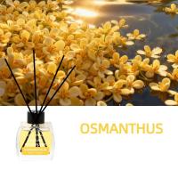 China Oil Based Flameless Aroma Diffuser Premium Long Lasting Home Fragrance for sale
