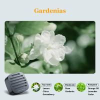 China Car Vent Clip-on Air Freshener Your Mobile Scent Space Elevate Every Breath for sale