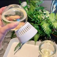 China Upside Down Aroma Diffuser 250ml Odor Eliminator Toilet Car Home 75 Day Plant Enzyme for sale