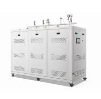 China 220V 50Hz Clean Gas Steam Generator Low Noise Gas Fired Module Furnace for sale