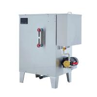 China 50Hz Electric Steam Generator 3KW High Pressure And Low Noise for sale