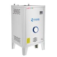 China 220V 50HZ Industrial Natural Gas Fired Steam Boiler 0.3Mpa Low Pressure for sale