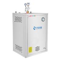 China 380V Natural Gas Fired Steam Generator Automatic LPG Gas Boiler Generator for sale