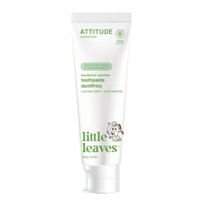 China OEM Fluoride Free Toothpaste 4.2 oz - Coconut Mint Flavor, Vegan & Sugar Free Formula with Xylitol for sale
