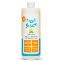 China Premium Lemon Mint Fresh Breath Mouthwash 16 oz - Alcohol-Free with Xylitol & Essential Oils for Daily Oral Care for sale