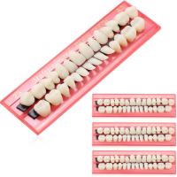 China 4 Sets Tooth Repair Kit with 112 Pieces A2 Resin Teeth for Props and Education for sale