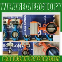 China Bray Type Wafer Pneumaitc Actuator Valve Spring Return EPDM Ductile Casting Iron for sale