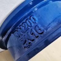 China SONGO Ductile Iron Wafer Check Valve 8 Inch Dual Plate SS304 Disc Butterfly Type Wafer Check Valve for sale
