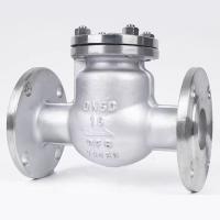China SS304 Cryogenic Swing Check Valve 150LB 300LB CF8M For LN2 LO2 for sale