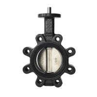 China 3Inch ANSI 150LB Cast Iron EPDM PTFE Seal Wafer Lug Manual Butterfly Valve with Handle for sale