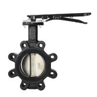 China 3Inch ANSI 150LB Cast Iron EPDM PTFE Seal Wafer Lug Manual Butterfly Valve with Handle for sale