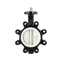 China 3Inch ANSI 150LB Cast Iron EPDM PTFE Seal Wafer Lug Manual Butterfly Valve with Handle for sale