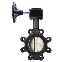 China 3Inch ANSI 150LB Cast Iron EPDM PTFE Seal Wafer Lug Manual Butterfly Valve with Handle for sale
