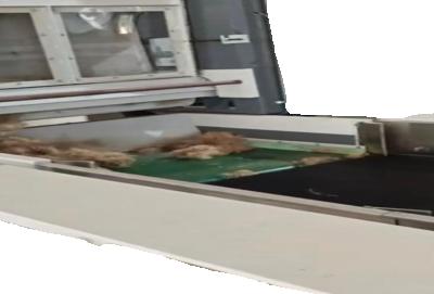 China ALN‑Belt‑type Weighing Machine for sale