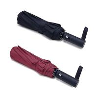 China Fashion Automatic Open & Close Umbrella Custom Adult Portable Folding Umbrella for Rain Windproof for sale