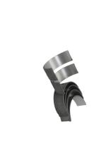 China RVI Engine Main Bearing OEM AEB1166 120mm Heavy Duty Truck Part for sale