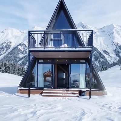 China Modern Triangular Prefab Home, Customizable Luxury Steel Frame Cost-Effective Product Manufactured in China for sale