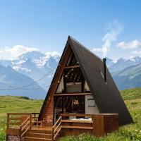China Premium Luxury Triangle Prefab Living House Unique Fashion Modern Design High Standard Prefabricated Dwelling for sale