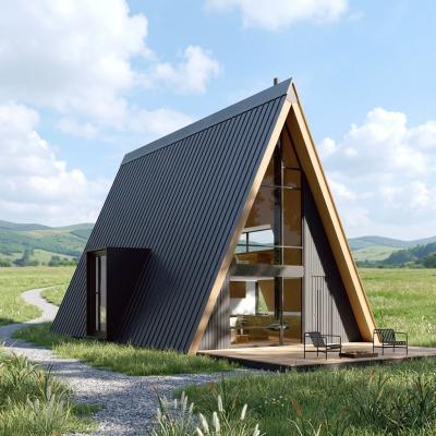 China Customized Modern Triangular Wooden House Steel Structure Factory Direct Transaction for Private Garden Leisure Accommodation for sale