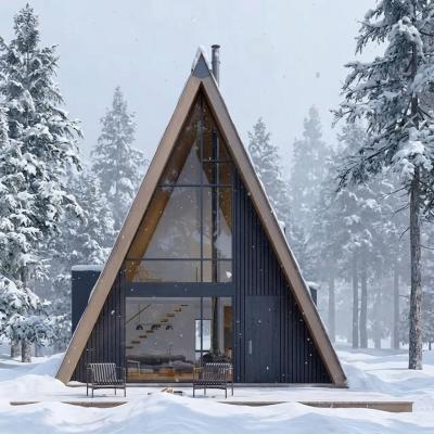 China Deluxe Fashion Forward Triangle Prefab Modular Home One-of-a-Kind Modern Layout Superior Construction Standard Living Dwelling for sale