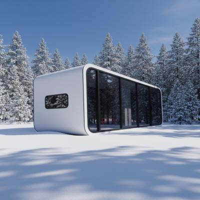 China Multi-functional 20/40 Foot Capsule Container House, Luxury Apple Cabin for Commercial Office and Tourist Accommodation for sale