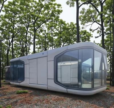 China Guangdong Foshan Prefabricated Commercial Luxury Modular Tiny Home apple Cabin 2 Bedroom Space Capsule House with Kitchen for sale