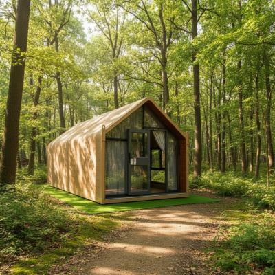 China Luxury Villa and Warehouse Application Modern Design Waterproof Durable Prefabricated Steel Structure House for sale