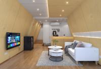 China Modular Luxury Modern Durable Villa Prefab Triangle Steel Structure Cabin for Apartment/Office Use for sale