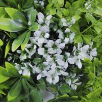 China Artificial Silk Flower Wall Panel Backdrop Hedges Fence Faux Ivy Vine Leaf 4x25 ft Custom for sale