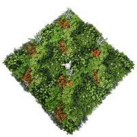 China Hedge Artificial Green Plant Wall Panel 20mm For Indoor for sale