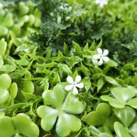 China Plants Artificial Green Wall Boxwood Hedge Plastic Covering for sale