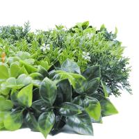 China Decoration 30mm Artificial Green Walls Hedge Greenery Panels for sale