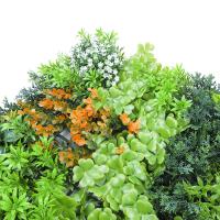 China Decoration 30mm Artificial Green Walls Hedge Greenery Panels for sale