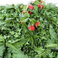 China Plastic Boxwood Hedge Artificial Plant Wall Panel For Indoor Decoration for sale
