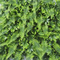 China 3D Mixed Artificial Bushes Greenery Wall Plastic Faux Flowers Grass Panel for sale