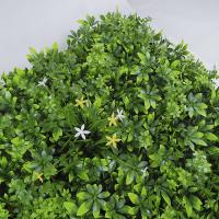 China Multiusage Artificial Boxwood Panels Ecofriendly Plastic Hedge For Indoor for sale