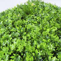China Multiusage Artificial Boxwood Panels Ecofriendly Plastic Hedge For Indoor for sale