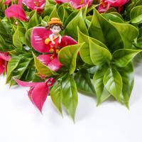 China Plastic 3D Plant Mixed Artificial Green Walls Panel Grass Hedge For Indoor for sale