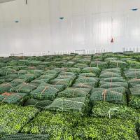 China 45mm Office Artificial Grass Walls , 20mm Artificial Lawn Wall for sale