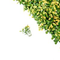 China Artificial Grass Football Field Turf 30mm Pile Height PE PP Synthetic Lawn for Outdoor Soccer for sale