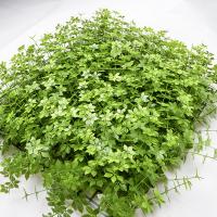 China Artificial Grass 4cmx25cm Waterproof PE PP Landscaping Turf for Football Fields Outdoor Decoration for sale