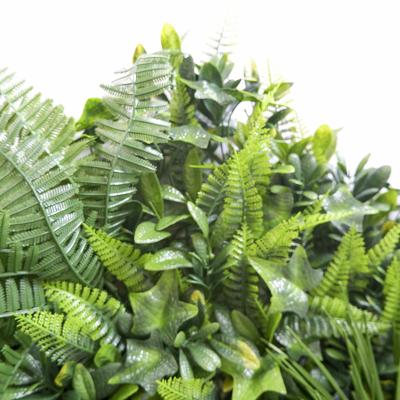 China PP PE Synthetic Fake Grass Wall Panels 20mm-45mm Pile Height for Noise Reduction for sale